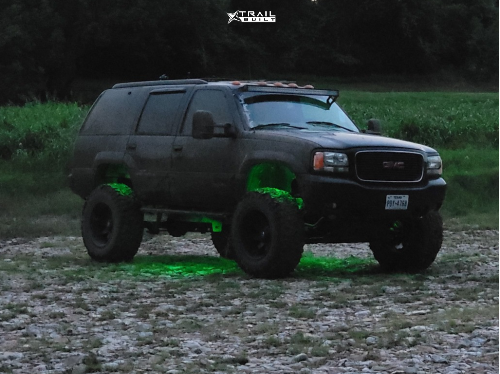 Red Yukon American Bobtail